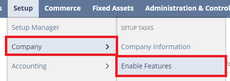 Multiple Languages in Netsuite